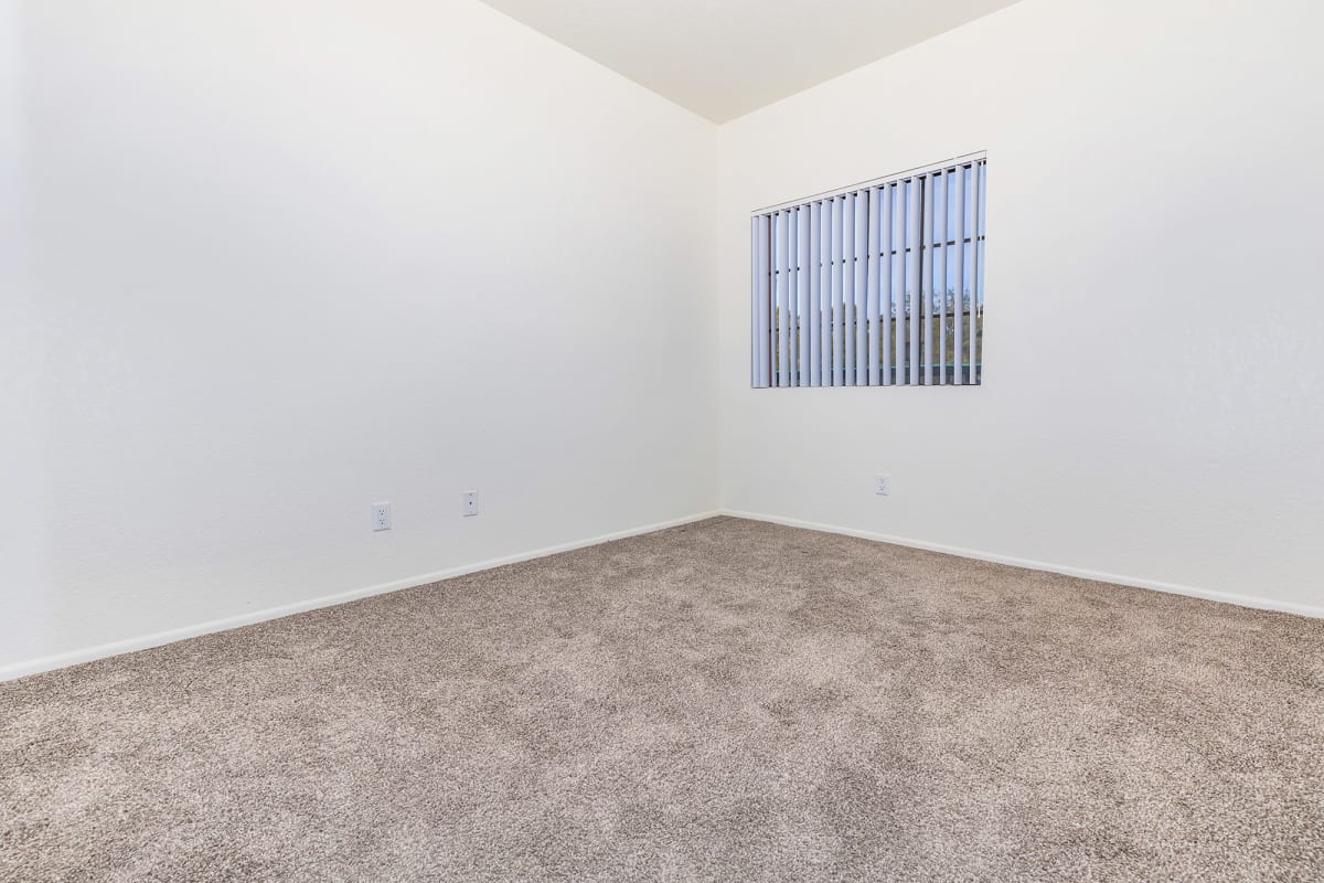 Photos and Video of Winterhaven Terrace in Tucson, AZ