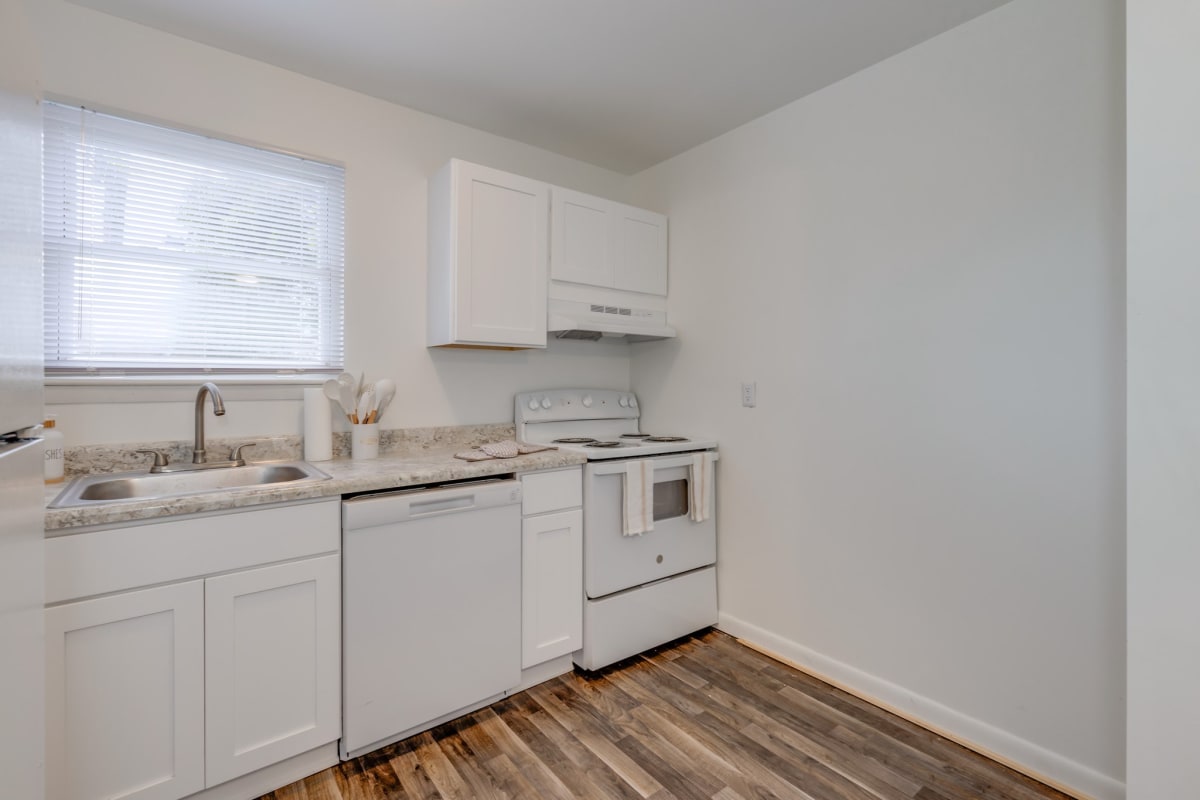 Photos and Video of Kings Row Apartments in Virginia Beach, VA
