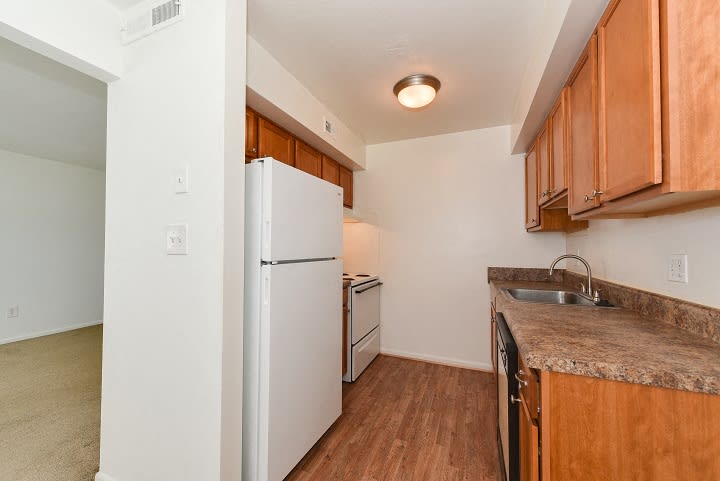 Photos and Video of Flair Azalea Apartments in Norfolk, VA