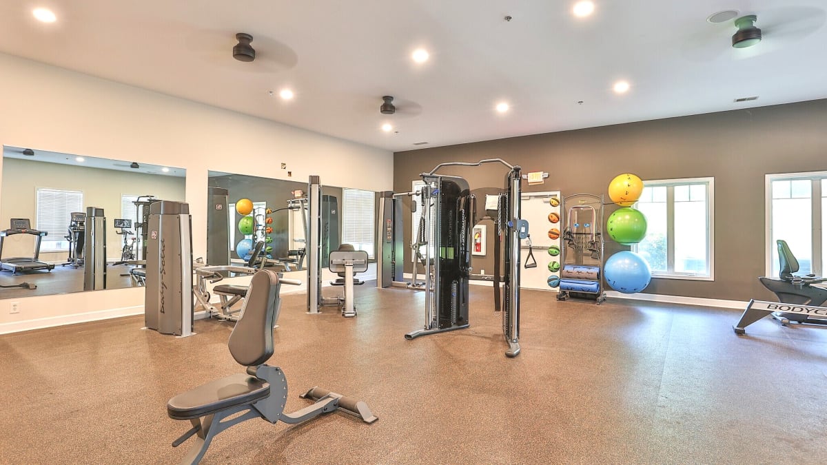 The Hub at Palmetto Pointe Photo Gallery | View Apartments in ...