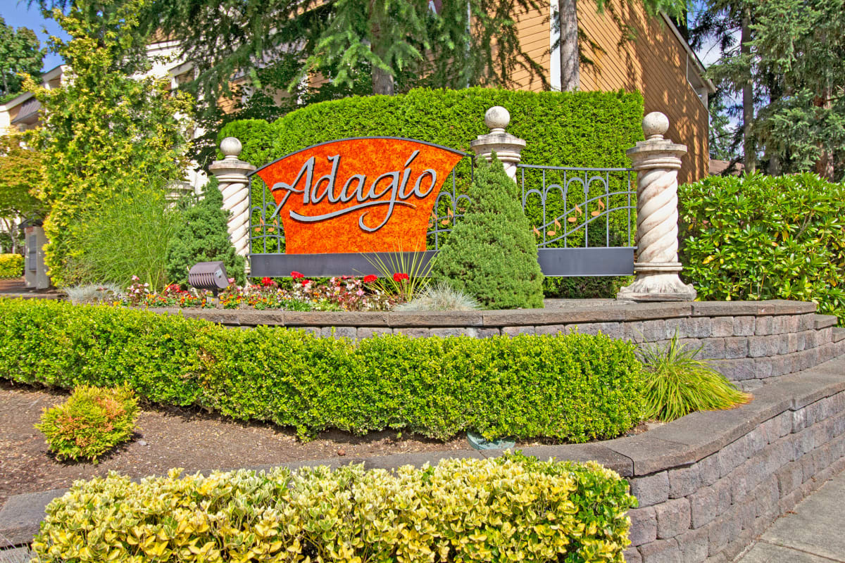 Photo Gallery | Adagio Apartments For Rent in Bellevue, WA | Weidner