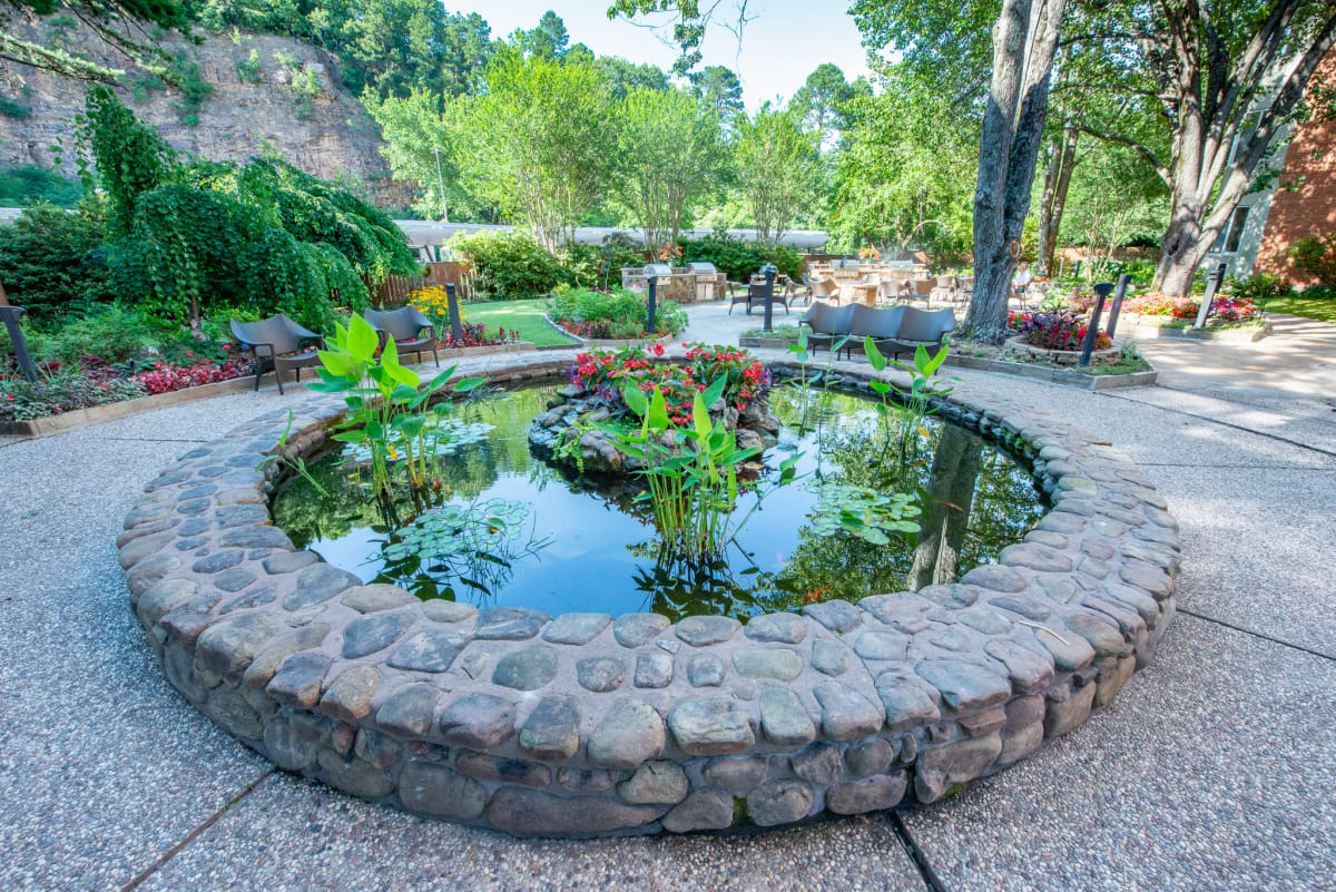 Photos and Video of Rivercliff in Little Rock, AR