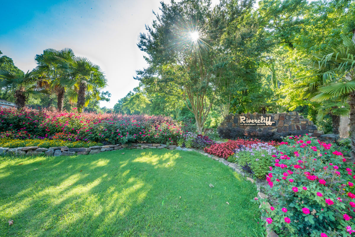 Photos and Video of Rivercliff in Little Rock, AR
