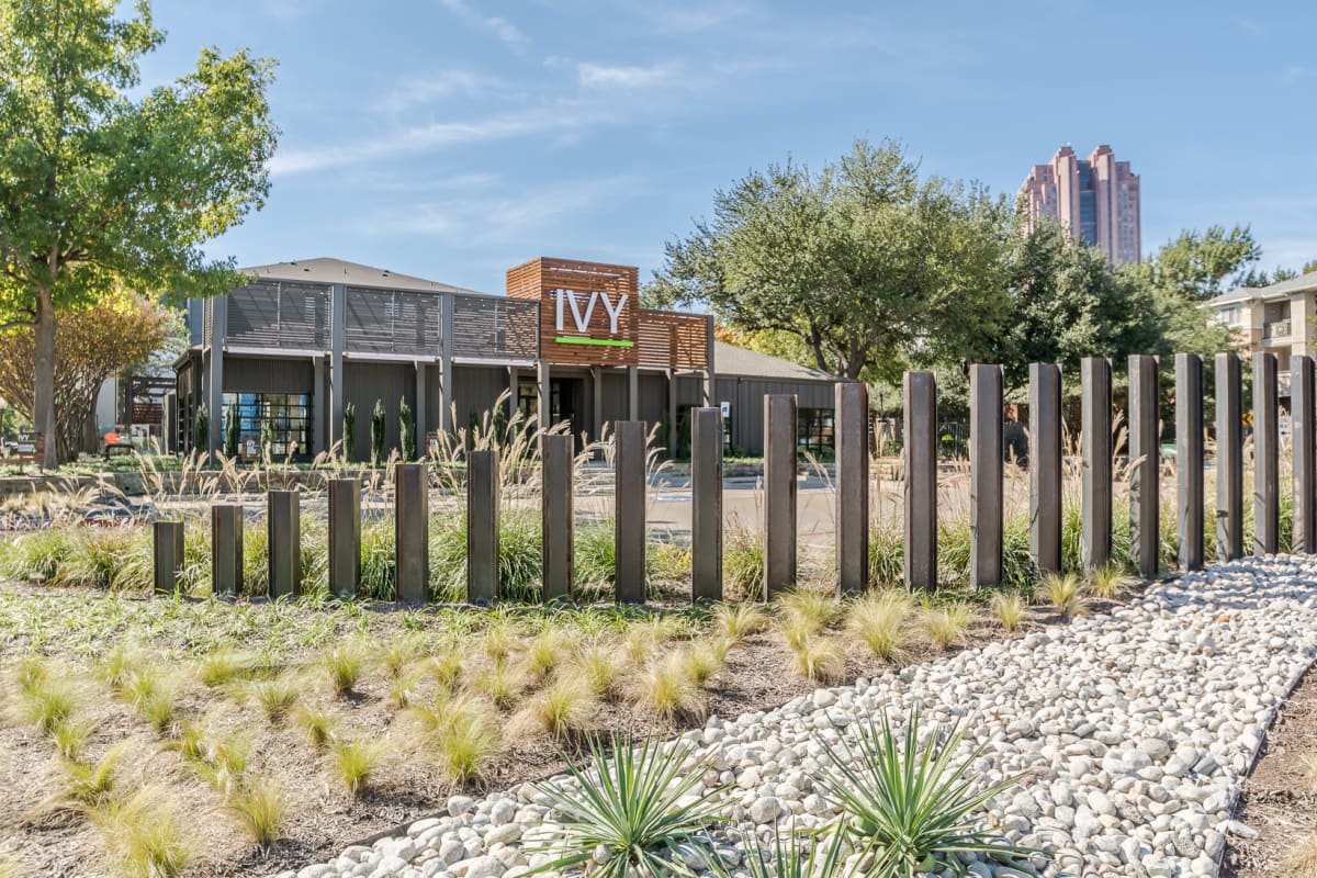 Photos and Video of Ivy Urban Living in Dallas, TX
