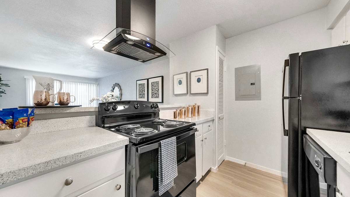 Photos and Video of Hendrix in Arlington, TX