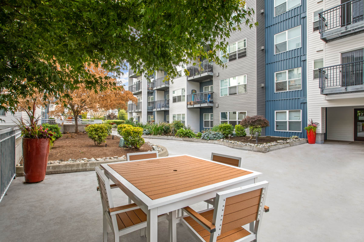 Photos and Video of Solara in Seattle, WA