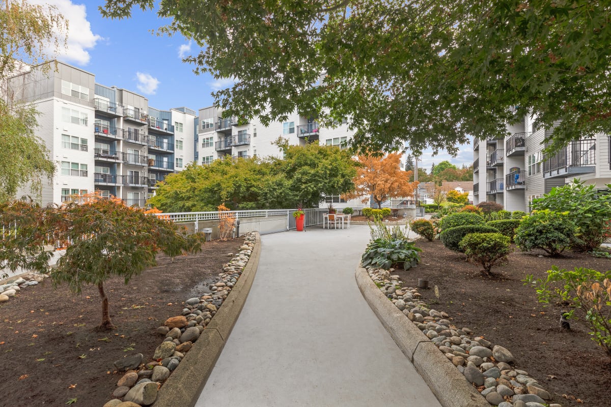 Photos and Video of Solara in Seattle, WA