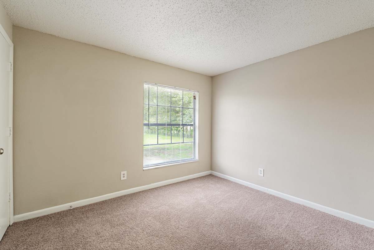 Photos and Video of Del Rio Apartment Homes in Tampa, FL