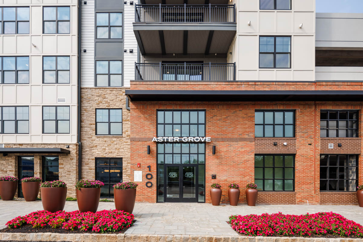 Photos and Video of Aster Grove in Warren, NJ