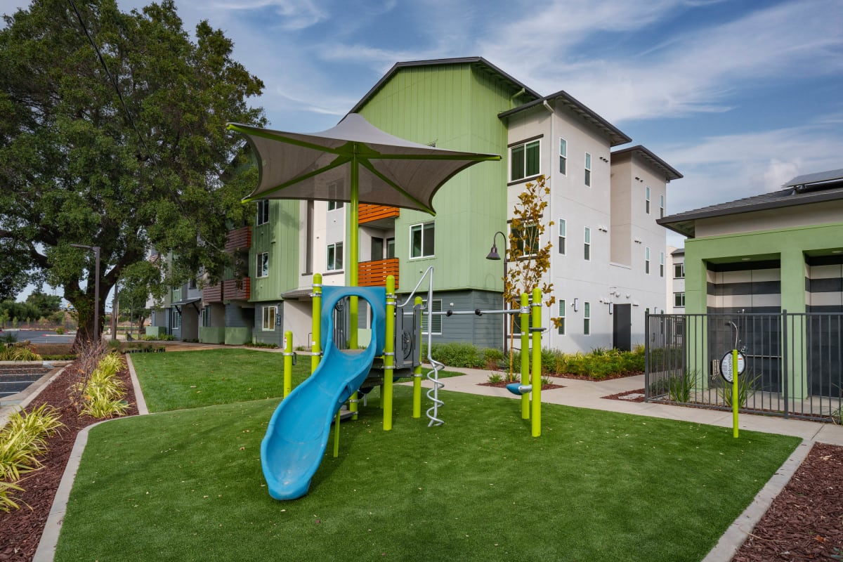 Photos and Video of Anton Viridian in Oakley, CA