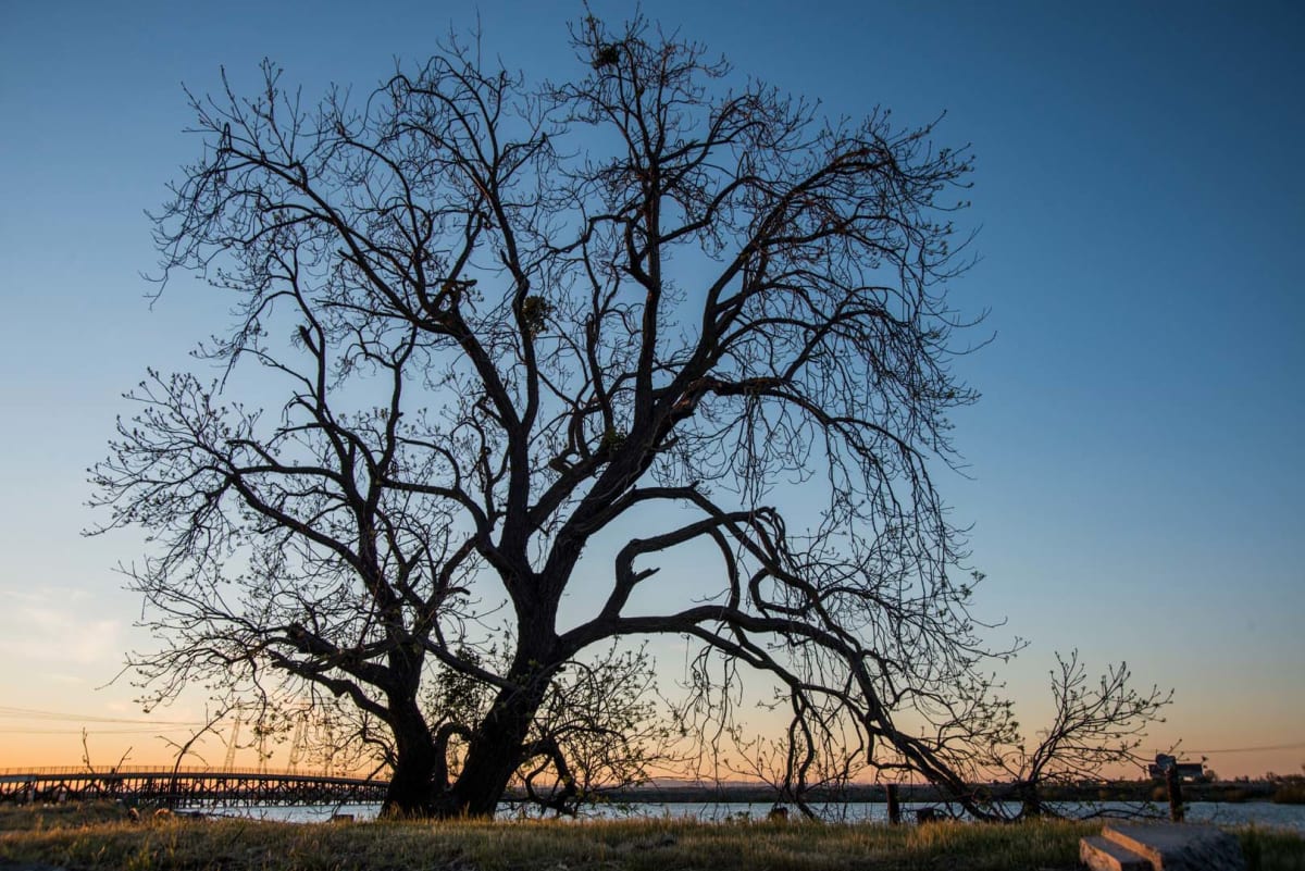 Photos and Video of Anton Viridian in Oakley, CA