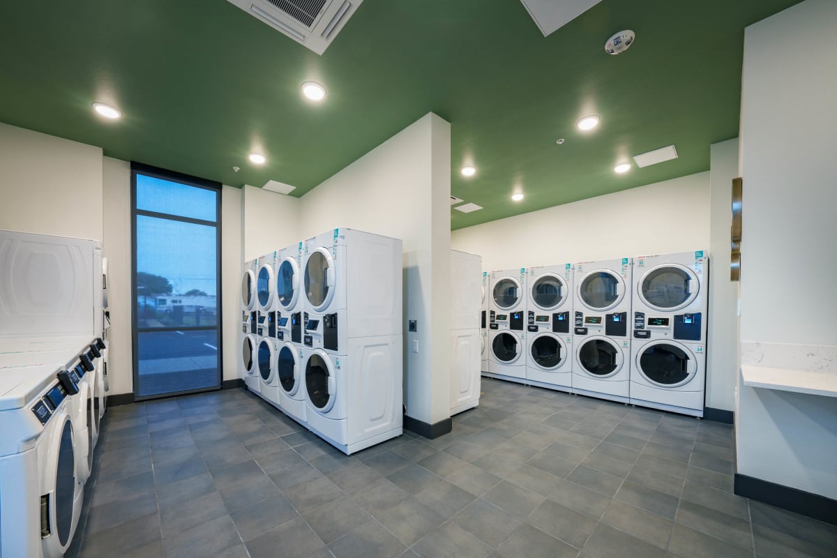 Photos and Video of Anton Viridian in Oakley, CA