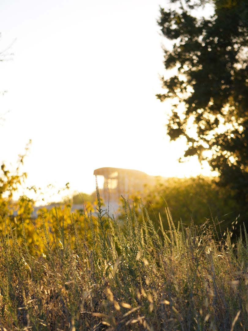 Photos and Video of Anton Viridian in Oakley, CA