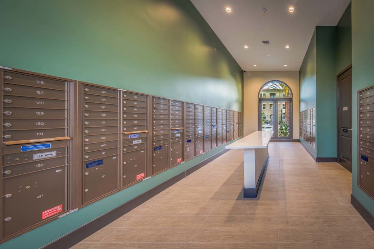 Photos and Video of Anton Portola in Irvine, CA