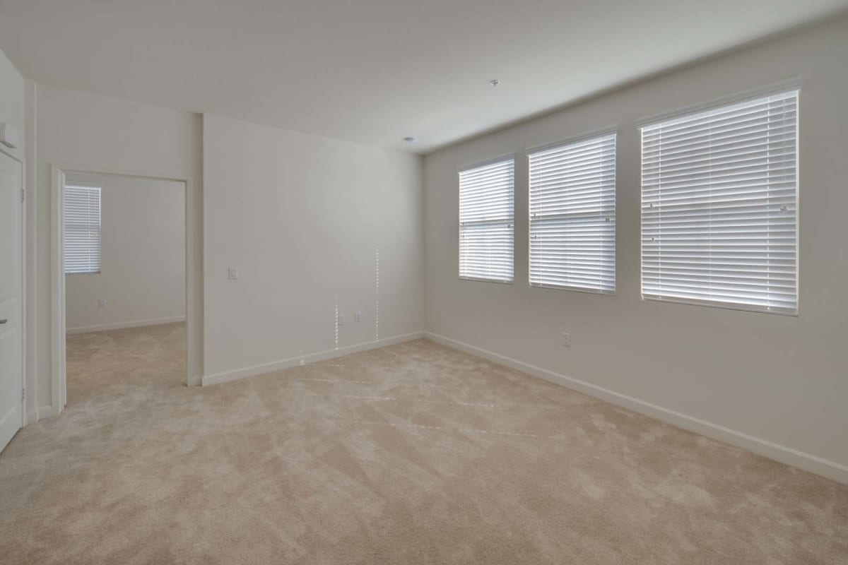 Photos and Video of Anton Portola in Irvine, CA