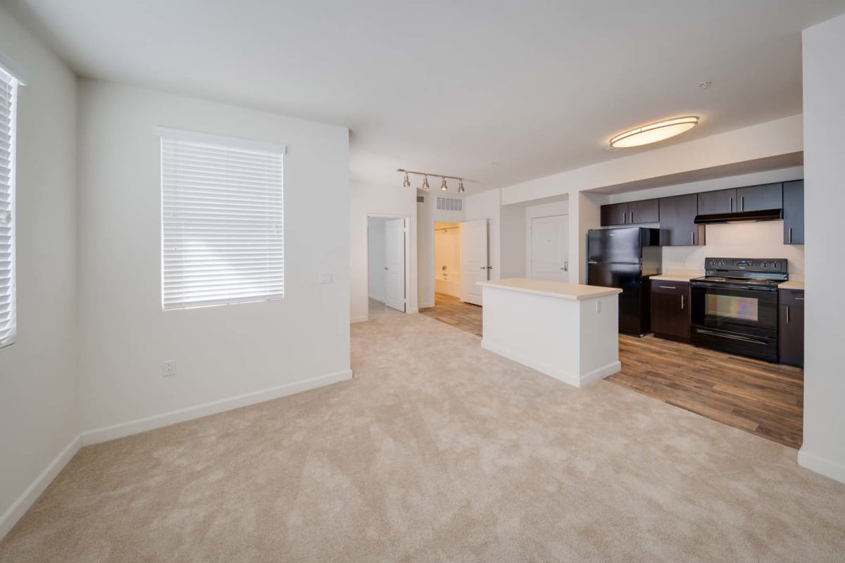 Photos and Video of Anton Portola in Irvine, CA