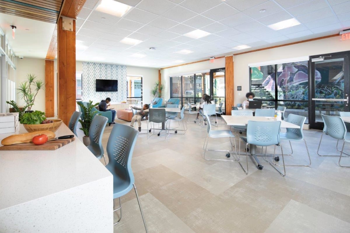 Photos and Video of Songbird in Portland, OR