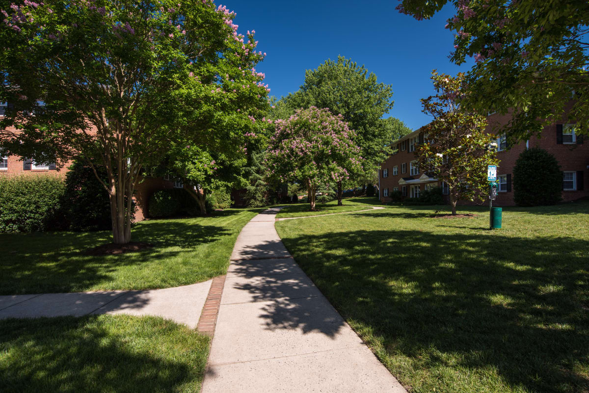 Best Apartment Rentals in National Landing Arlington VA | Photos