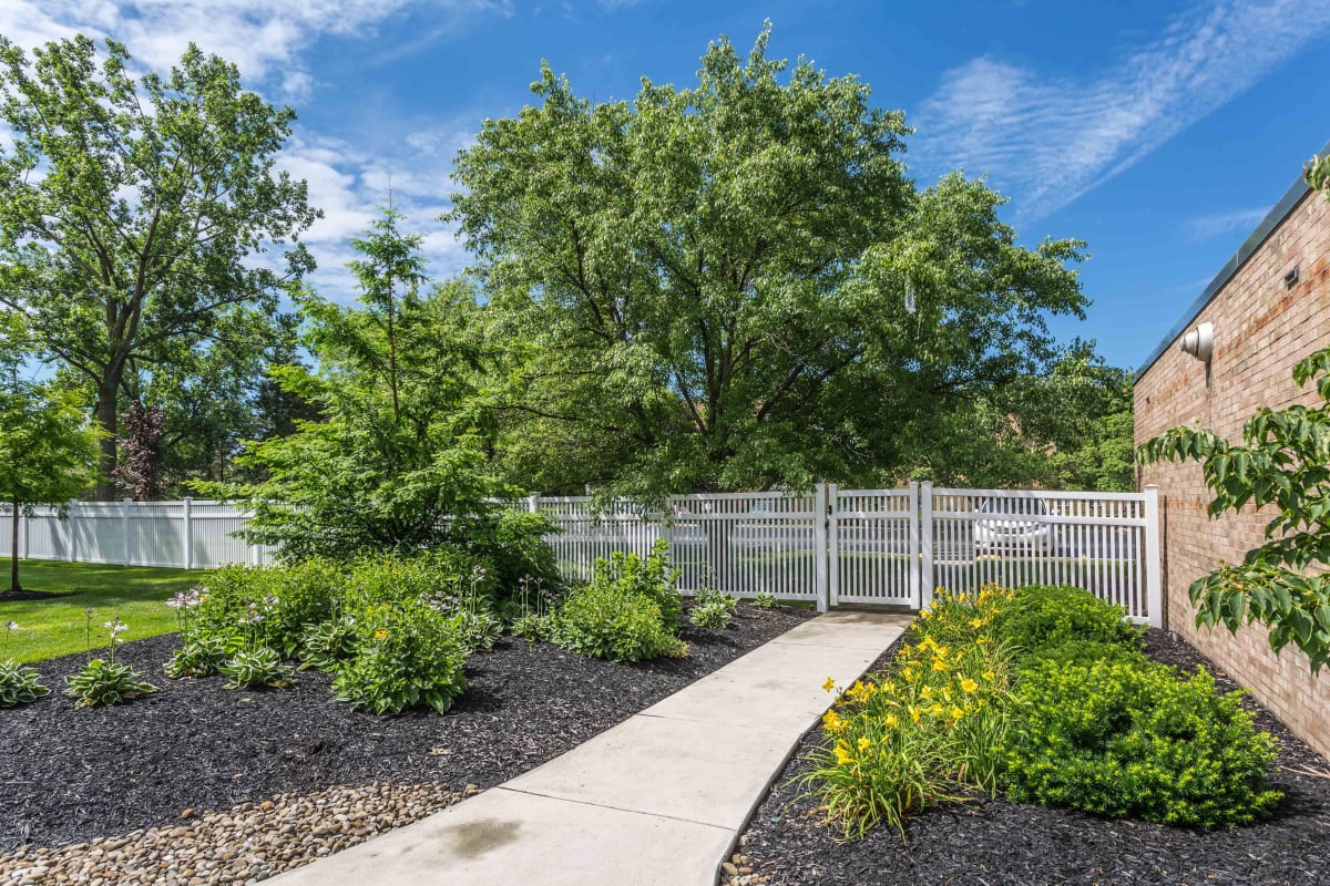 Photos and Video of Surfside Towers in Eastlake, OH