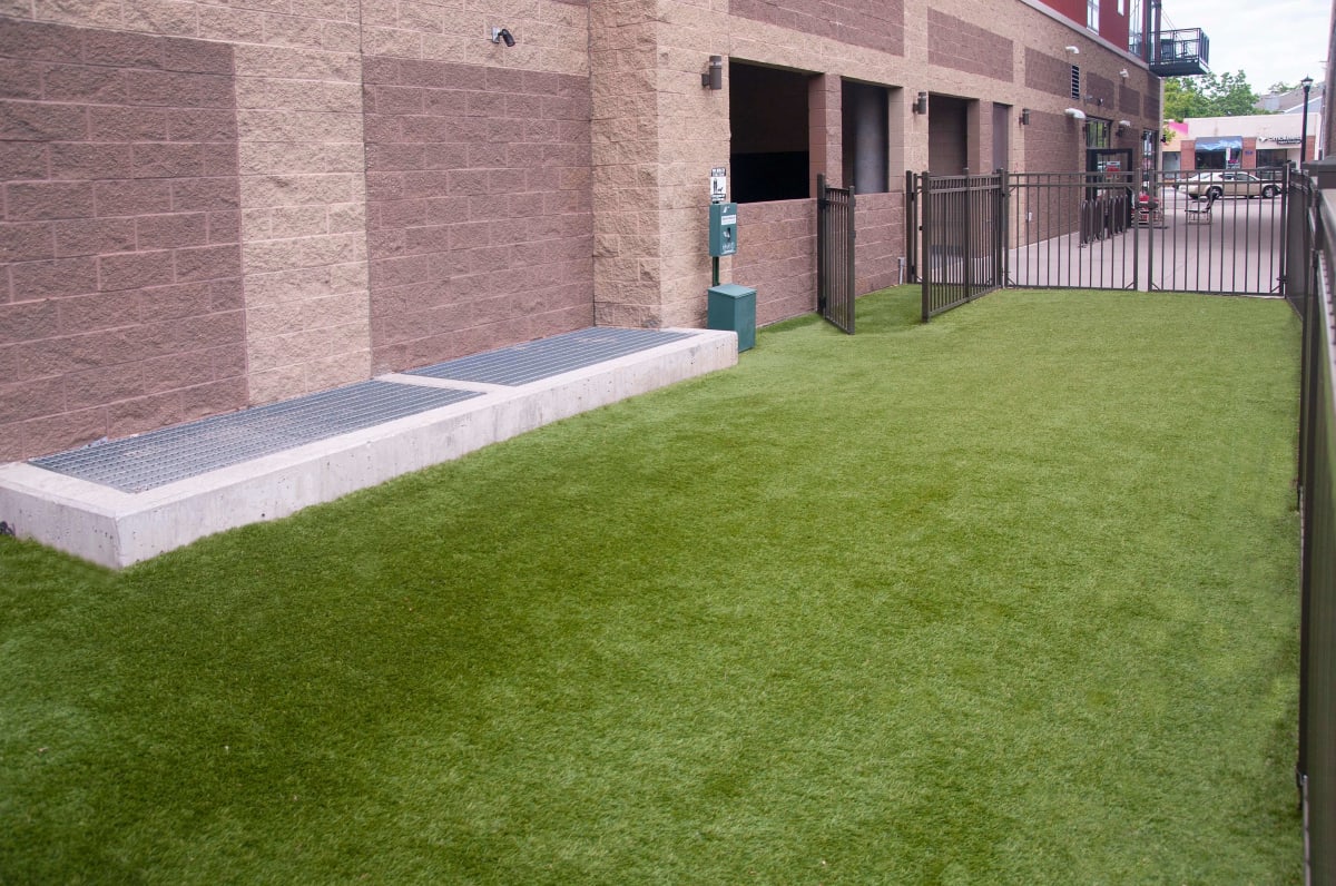 Apartments for Rent in Minneapolis | Red 20 Apartments