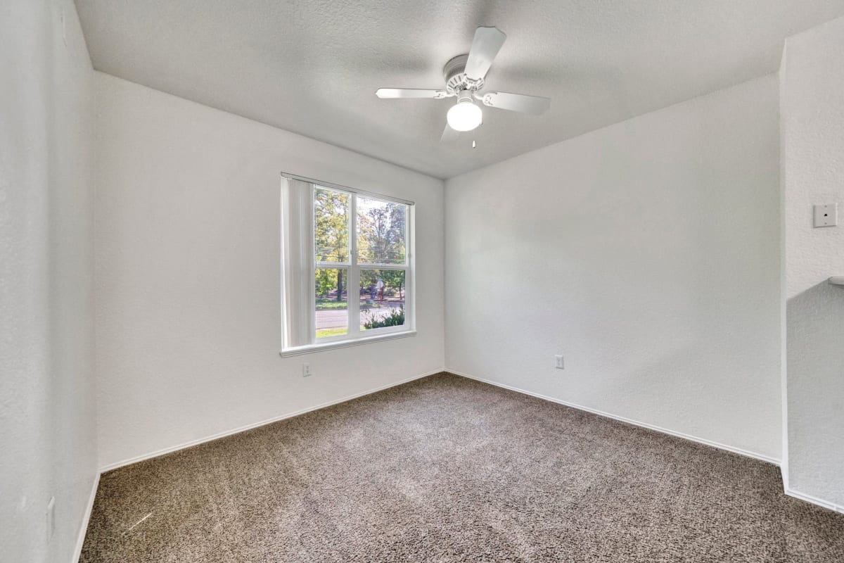 Photos and Video of Hampton Ridge Apartments in Tigard, OR