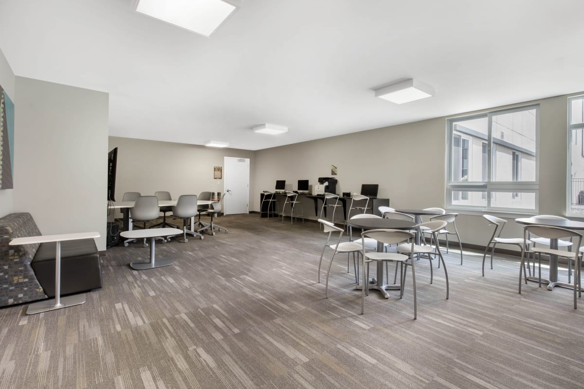 Photos and Video of Storyboard at SIU in Carbondale, IL