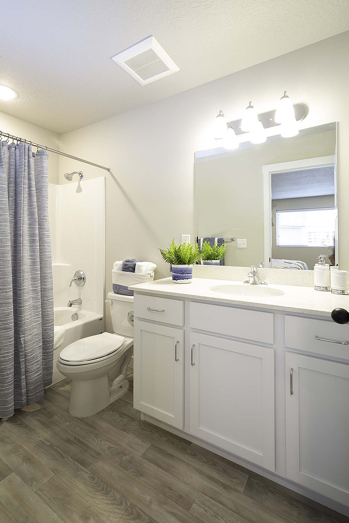 Photos and Video of VALO at South Haven Farms in Payson, UT