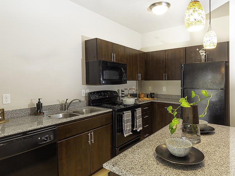 Photos and Video of The Lotus Apartments in Salt Lake City, UT