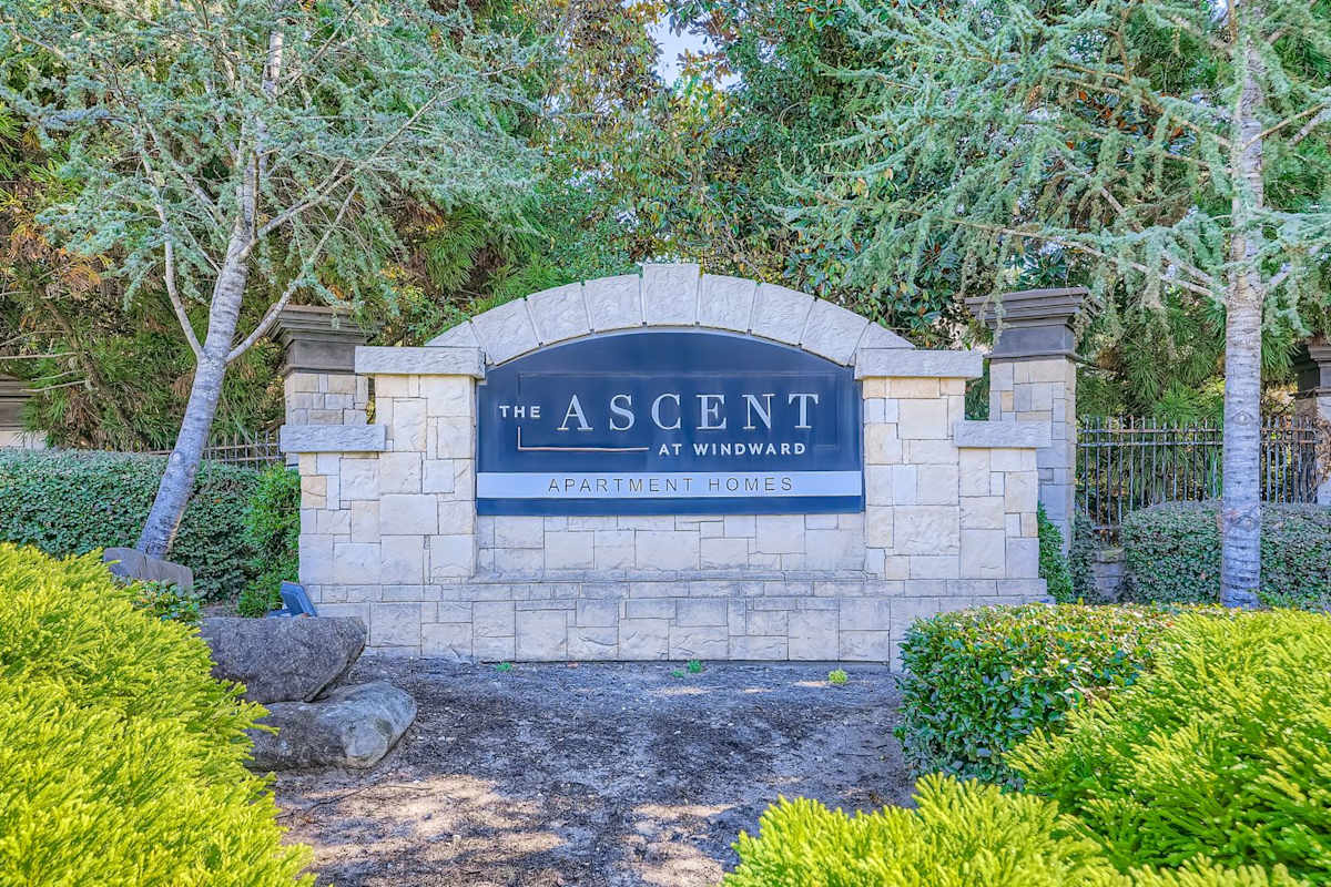 The Ascent At Windward