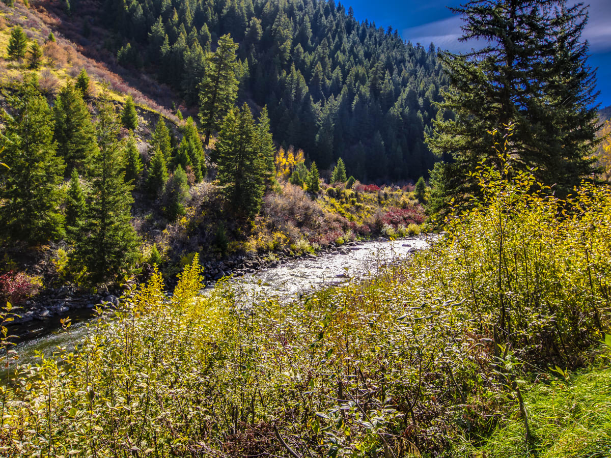 Photos and Video of River Run in Avon, CO