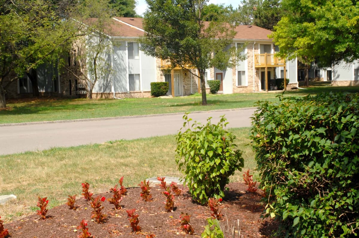 Photos and Video of Spring Hill in Shelby Twp, MI
