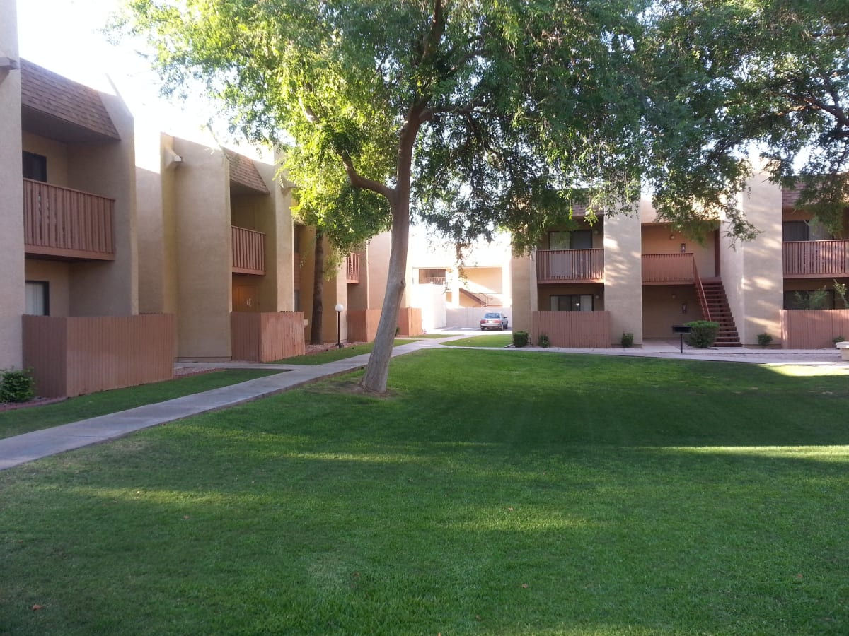 Photos and Video of Desert Meadows in Phoenix, AZ
