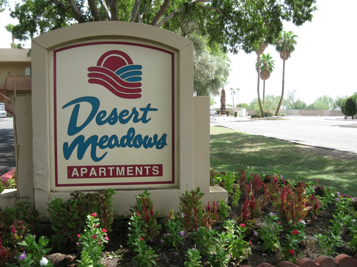 Photos and Video of Desert Meadows in Phoenix, AZ