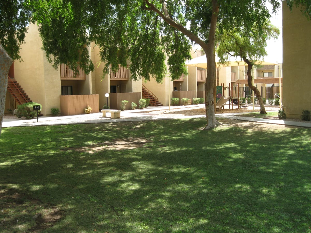 Photos and Video of Desert Meadows in Phoenix, AZ