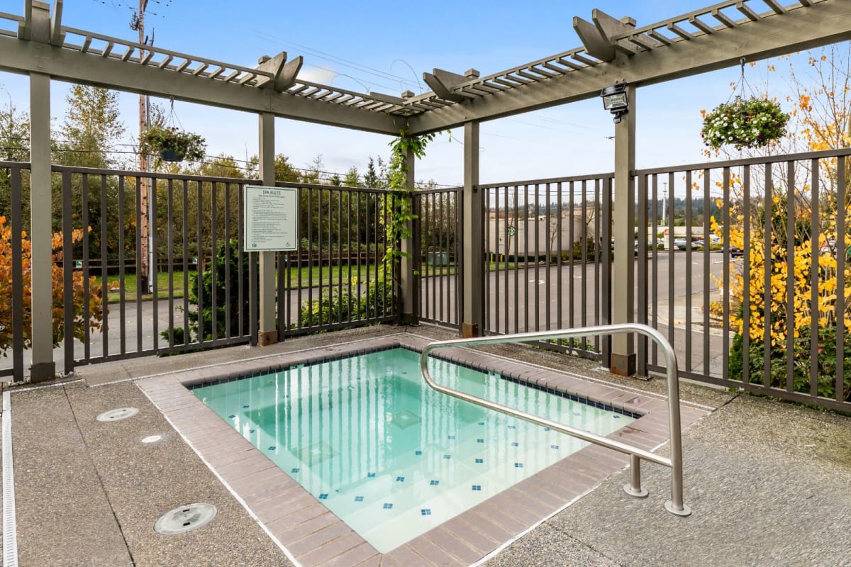 Photos and Video of Willow Tree Grove in Bothell, WA