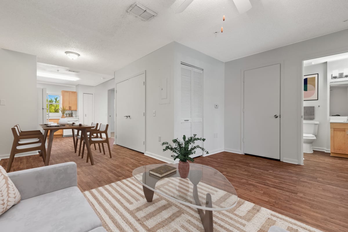 Affordable Apartments for Rent in Port Richey, FL | Regency Palms ...