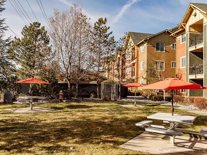 Photos and Video of The Village at Idlewild Park in Reno, NV