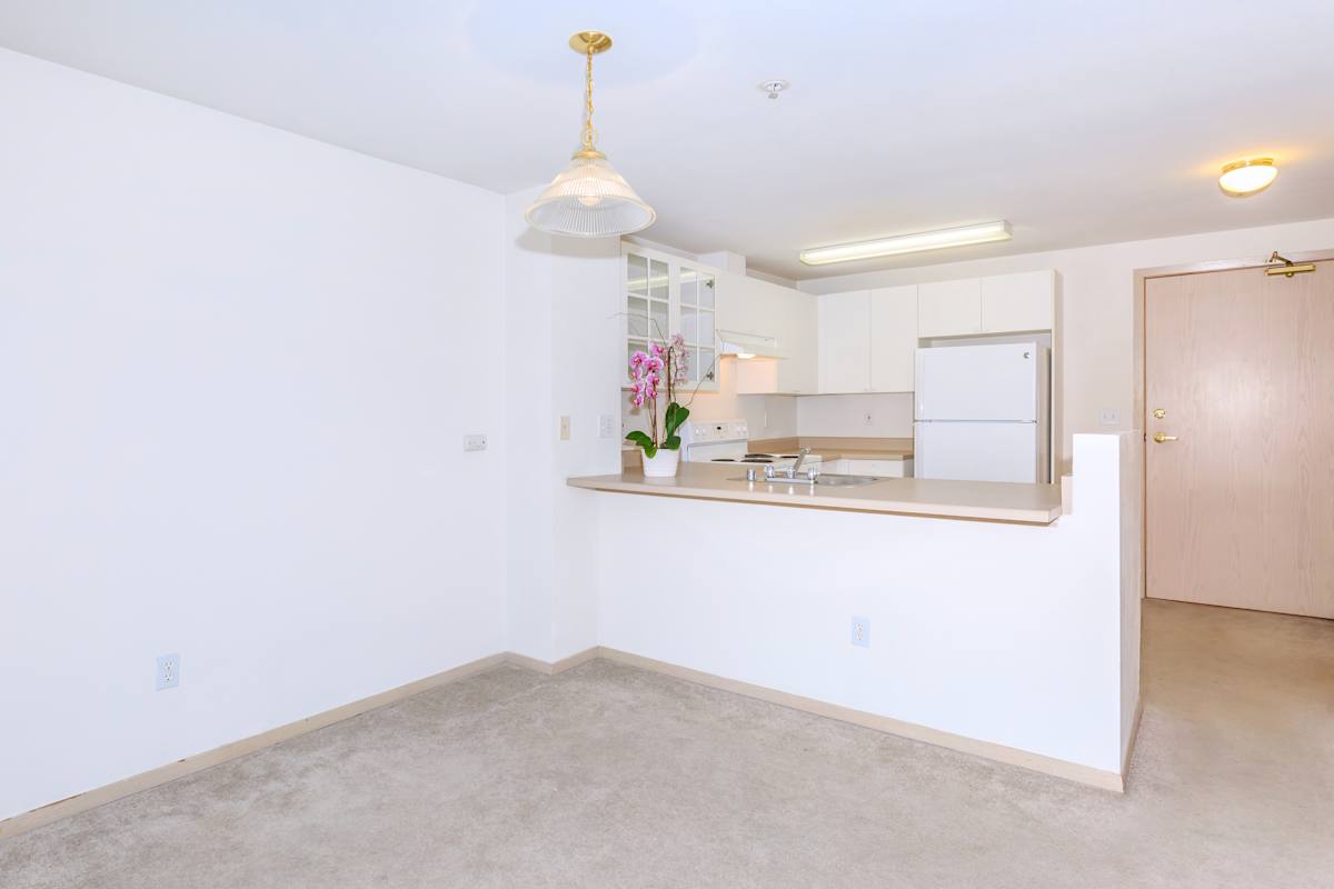 Photos and Video of Clearwater and Star Apartments in Seattle, WA