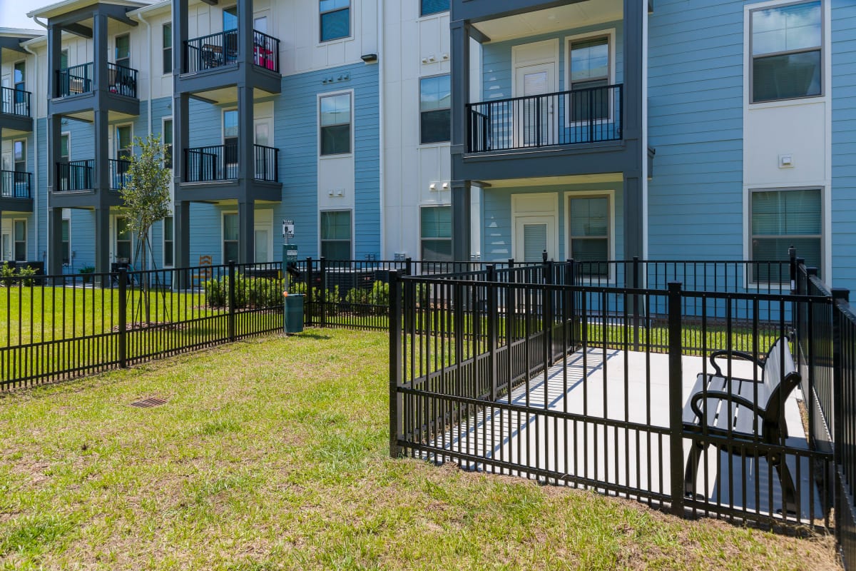 Photos and Video of Landon Preserve in Brandon, FL