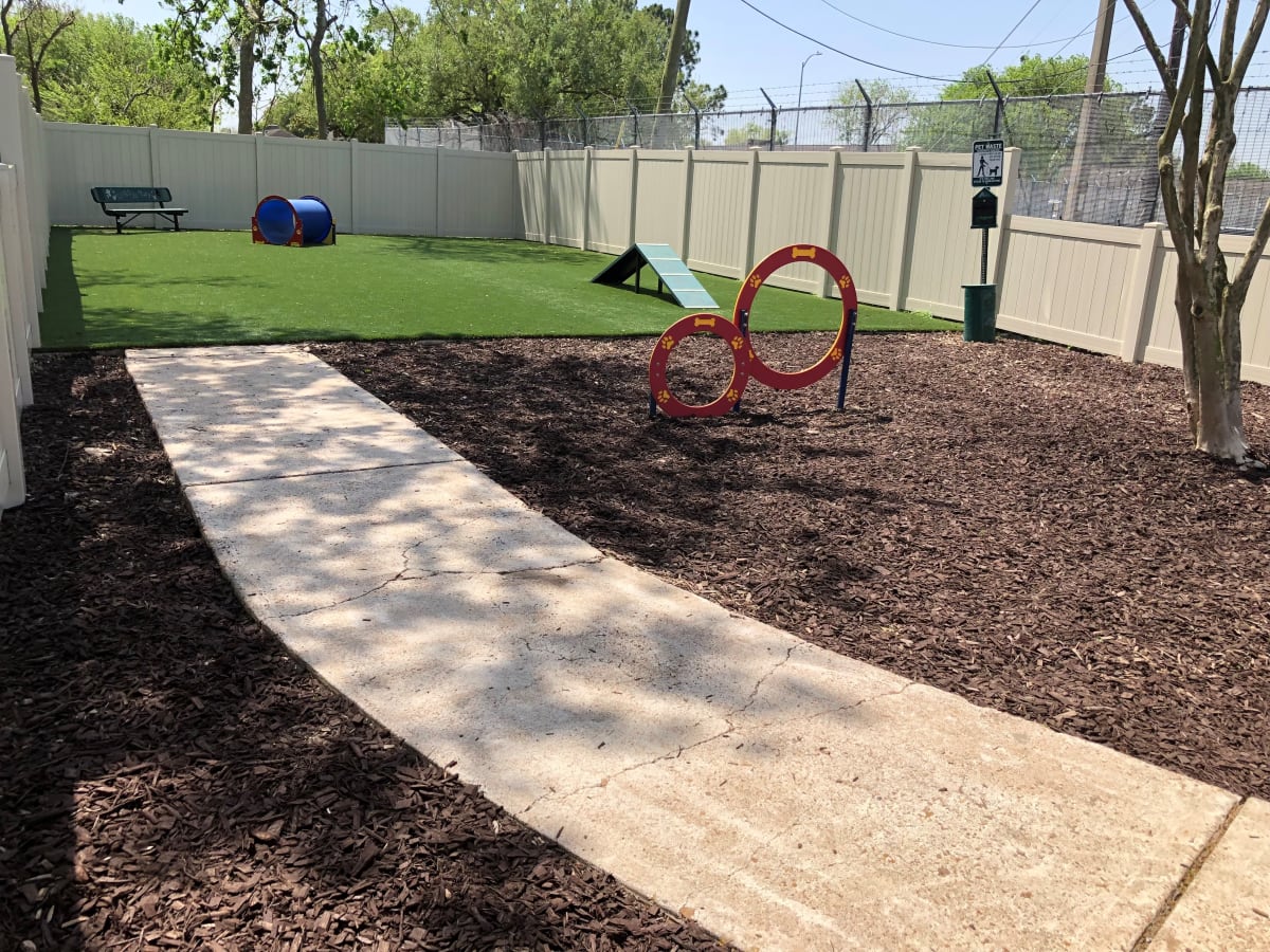 Photos and Video of Parque at Bellaire in Houston, TX