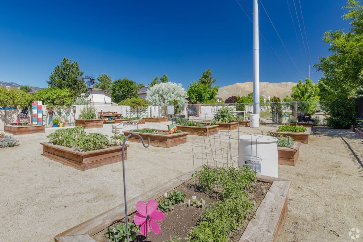 Photos and Video of Carson Catalina Apartments in Carson City, NV