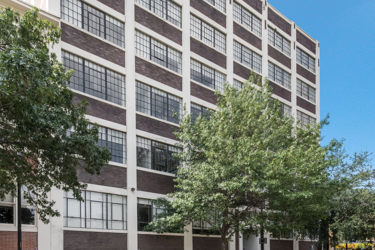 Photos and Video of Deep Ellum Lofts in Dallas, TX