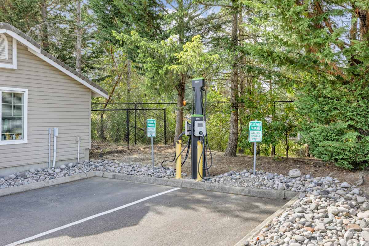 Photos and Video of Abbey Rowe in Olympia, WA