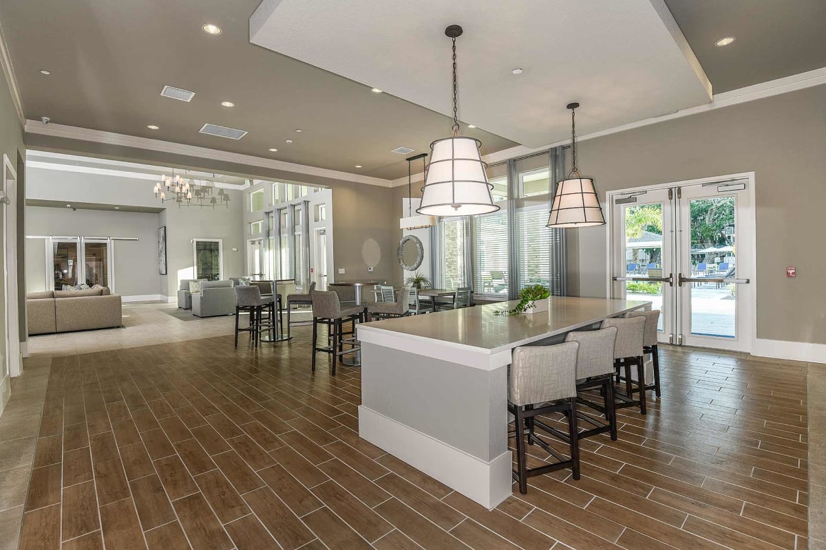 Photos and Video of Dunedin Commons Apartments in Dunedin, FL