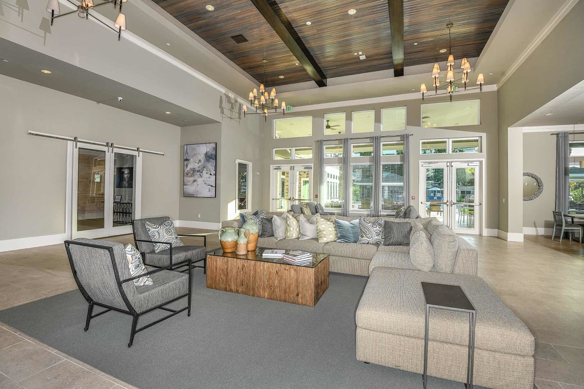 Photos and Video of Dunedin Commons Apartments in Dunedin, FL