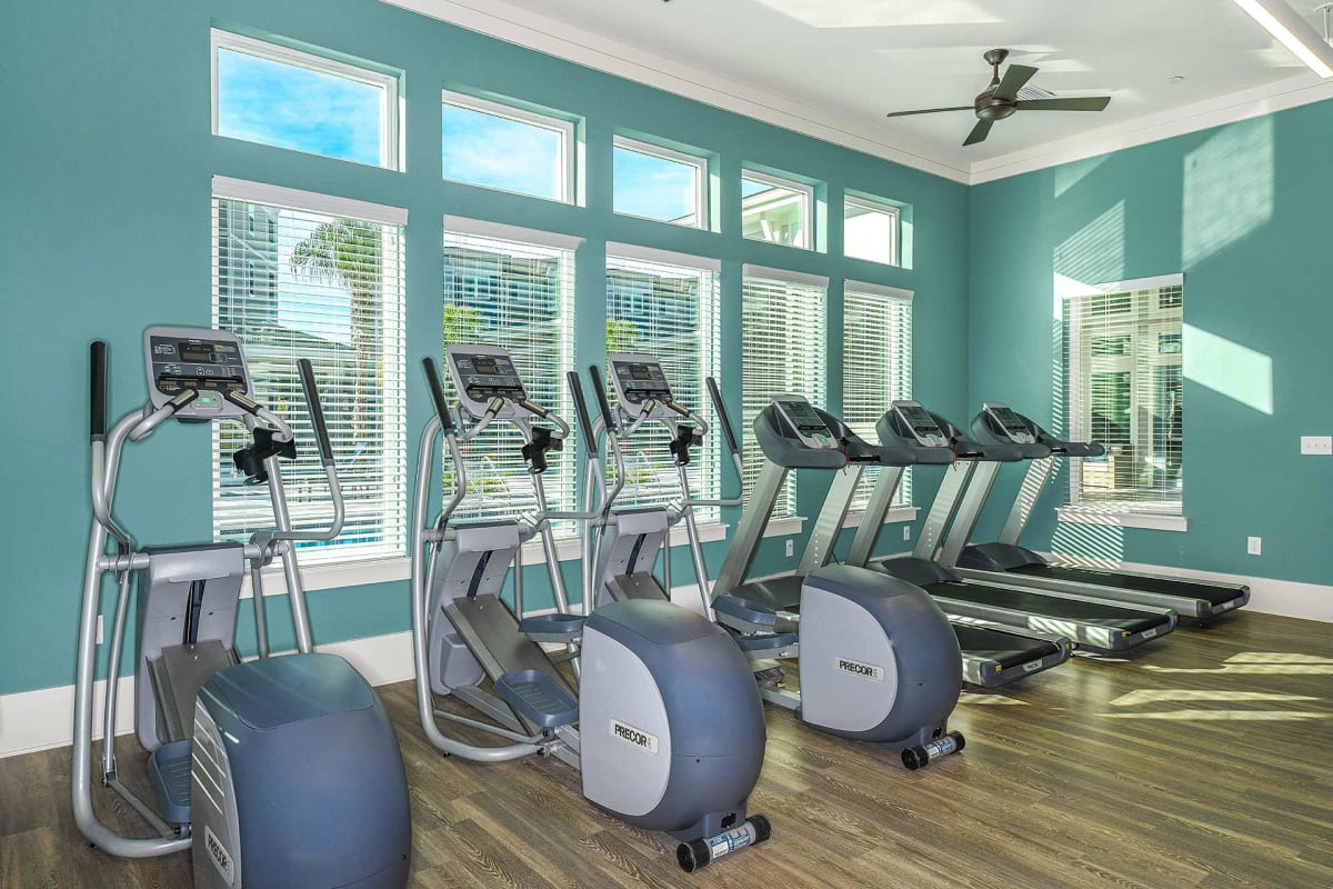 Photos and Video of Dunedin Commons Apartments in Dunedin, FL