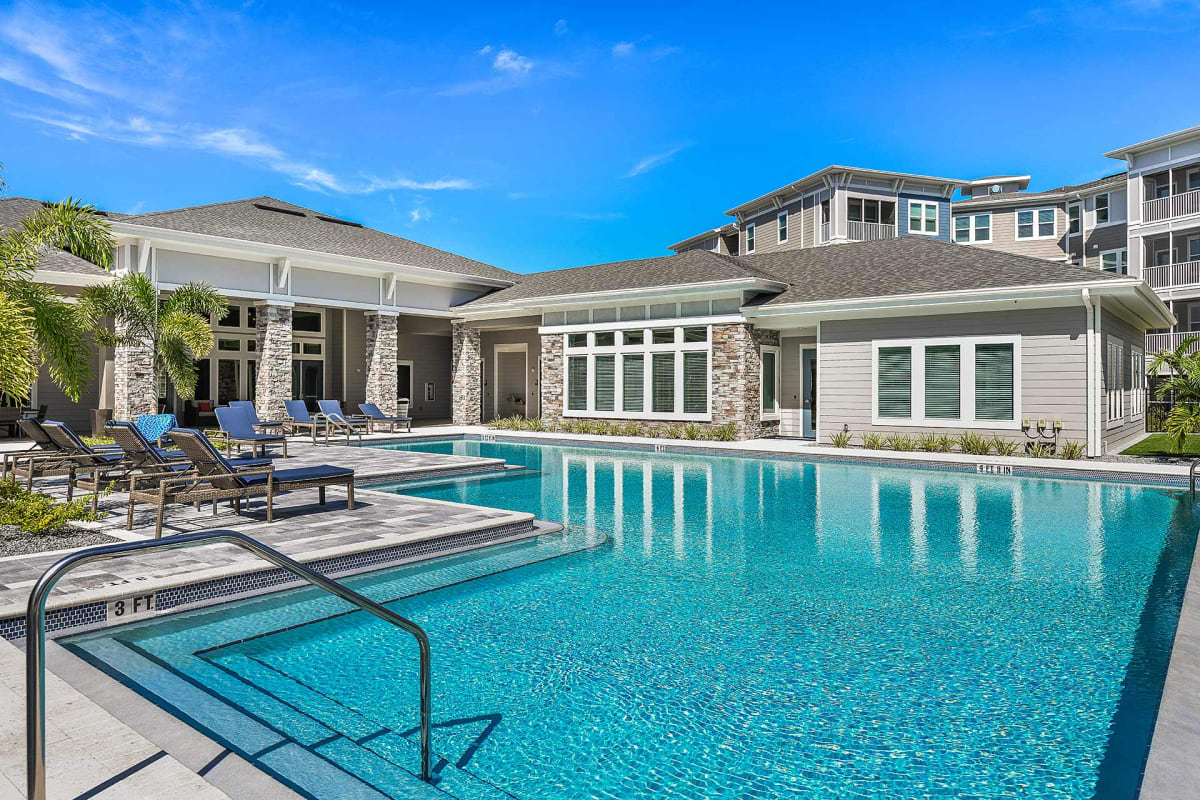 Photos and Video of Dunedin Commons Apartments in Dunedin, FL