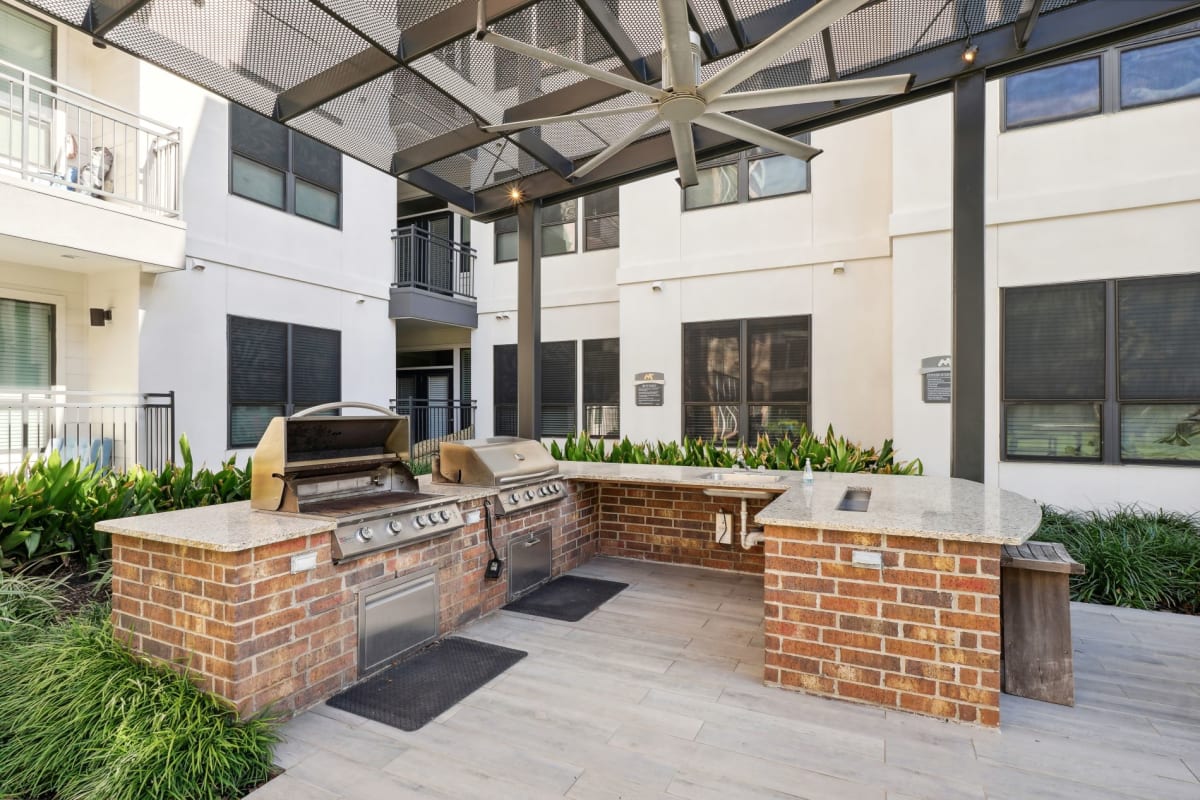 Photos and Video of Muse at Museum District in Houston, TX