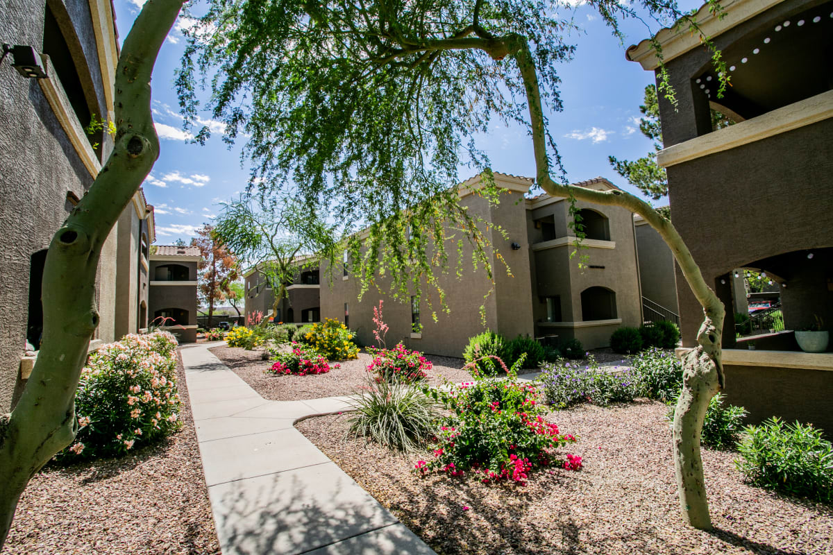 RidgeGate Apartments Near Happy Valley, AZ | Photo Gallery and Video