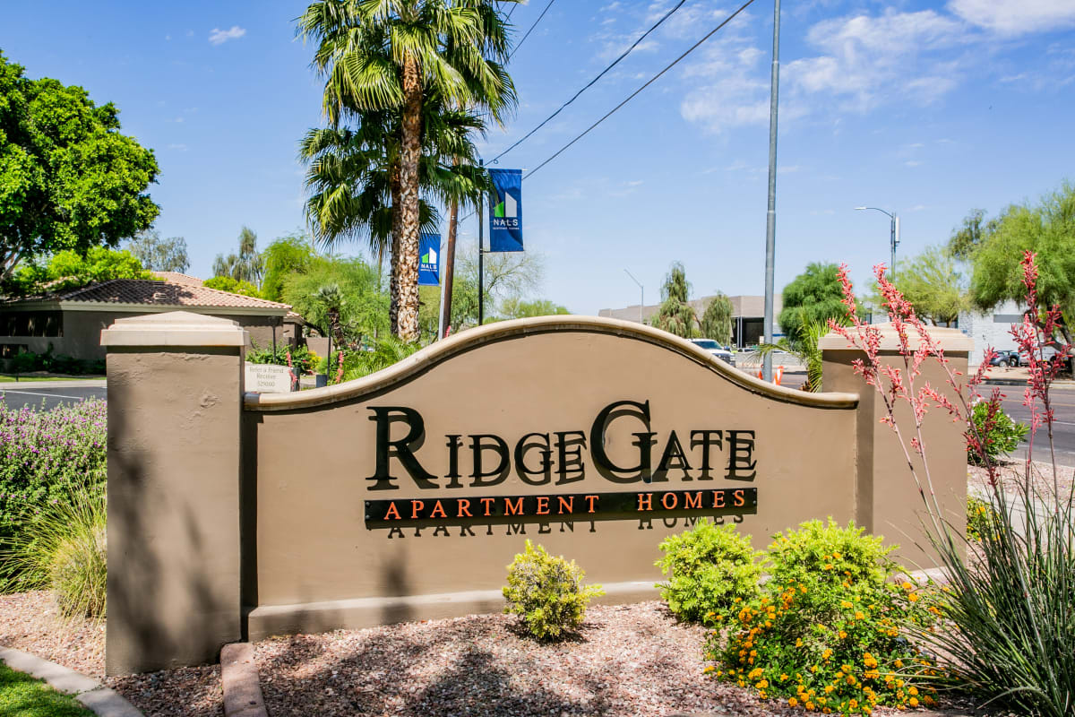 RidgeGate Apartments Near Happy Valley, AZ | Photo Gallery and Video